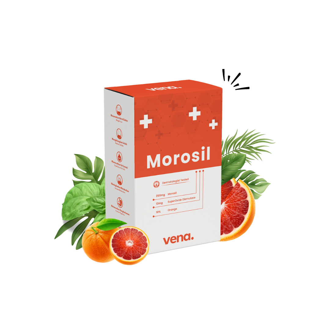 Morosil Singapore HQ - Morosil Singapore HQ